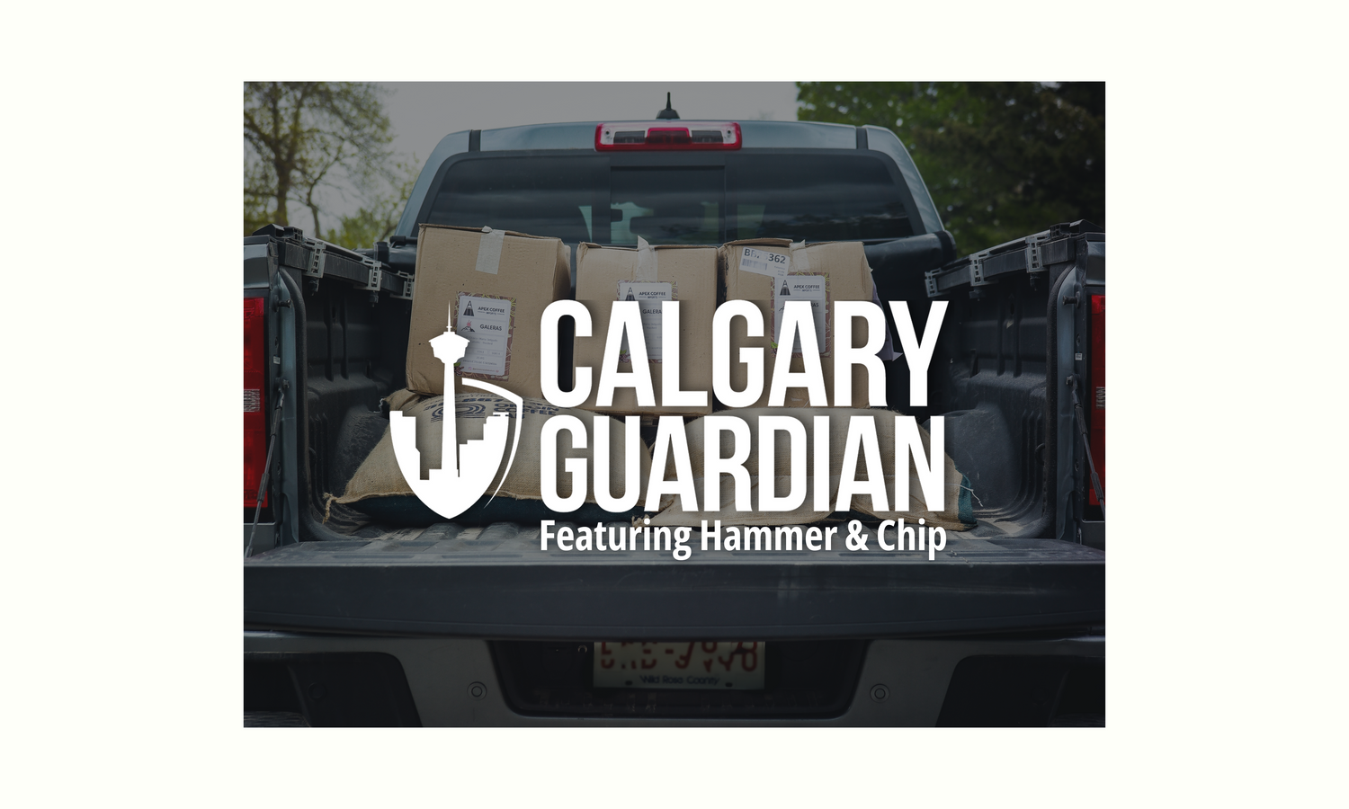 Could Specialty Robusta Be The Future | Hammer And Chip Roasting ...